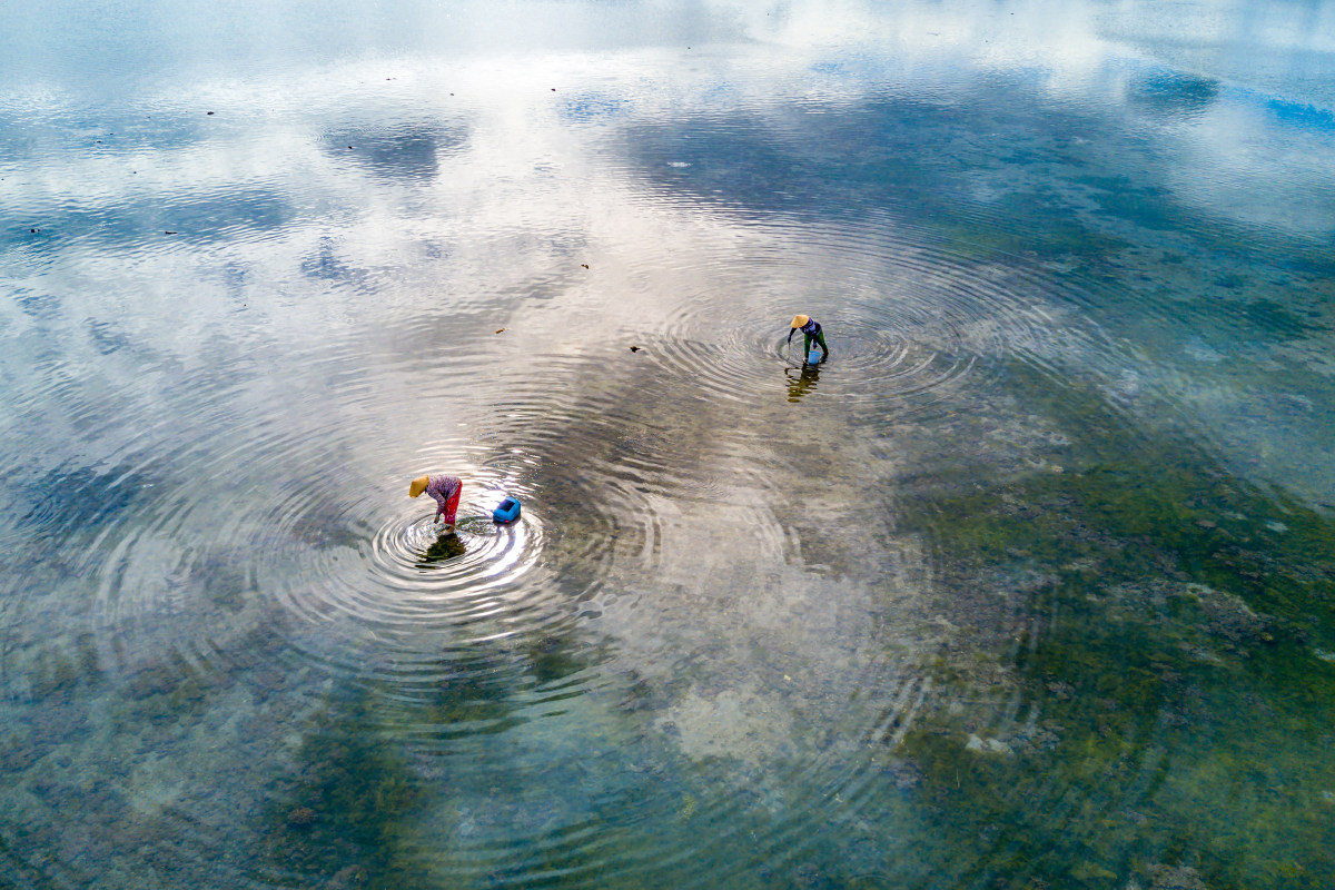 Wave Interference Water